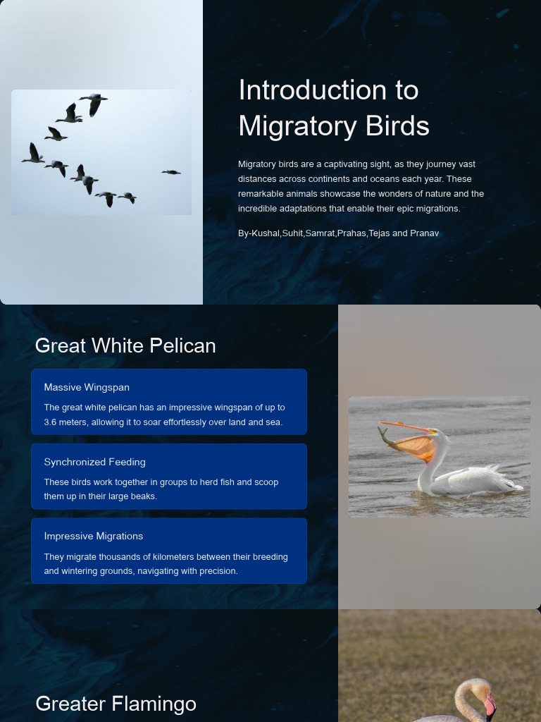 Introduction-to-Migratory-Birds (1) | PDF