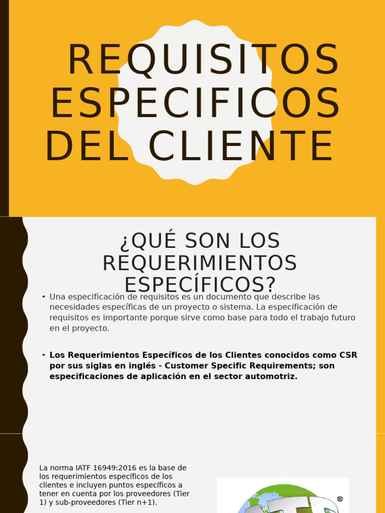 REQUISITOS ESPECIFICOS DEL CLIENTE | PDF