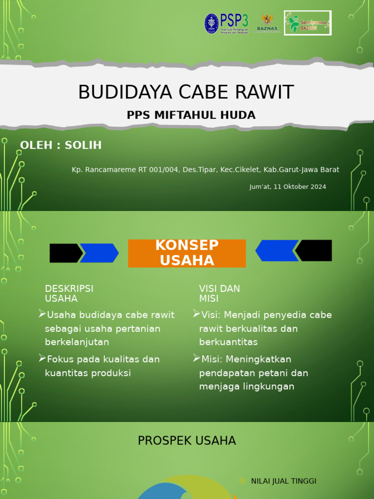 Budidaya Cabe Rawit | PDF