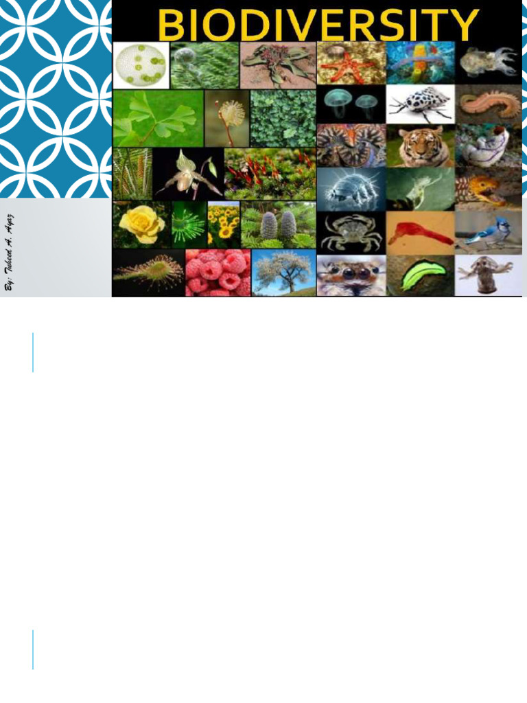 Ch3 BIODIVERSITY | PDF