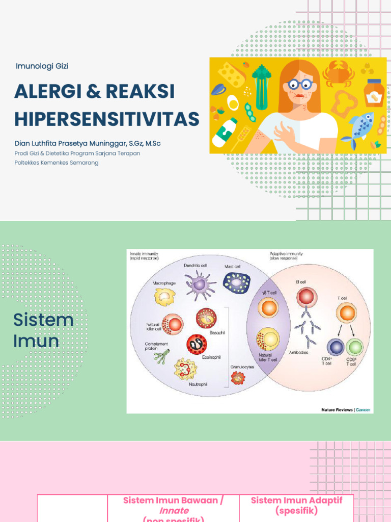 2024_Allergy Hypersensitivity | PDF