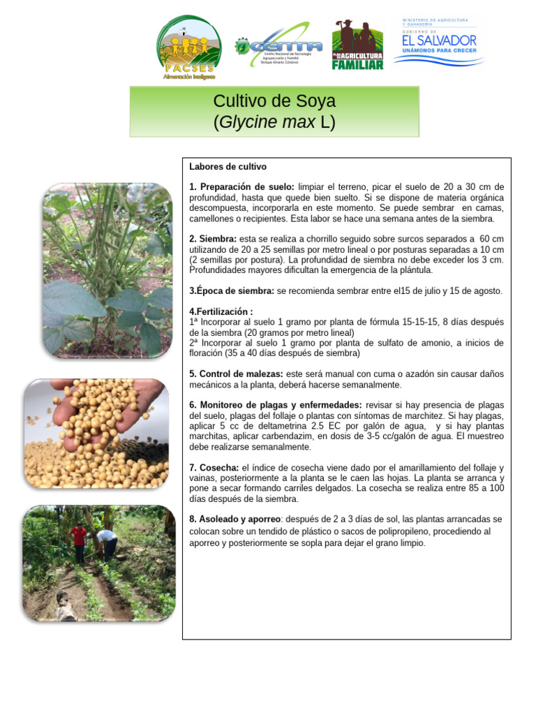 ficha tecnica de la soya_1 | PDF