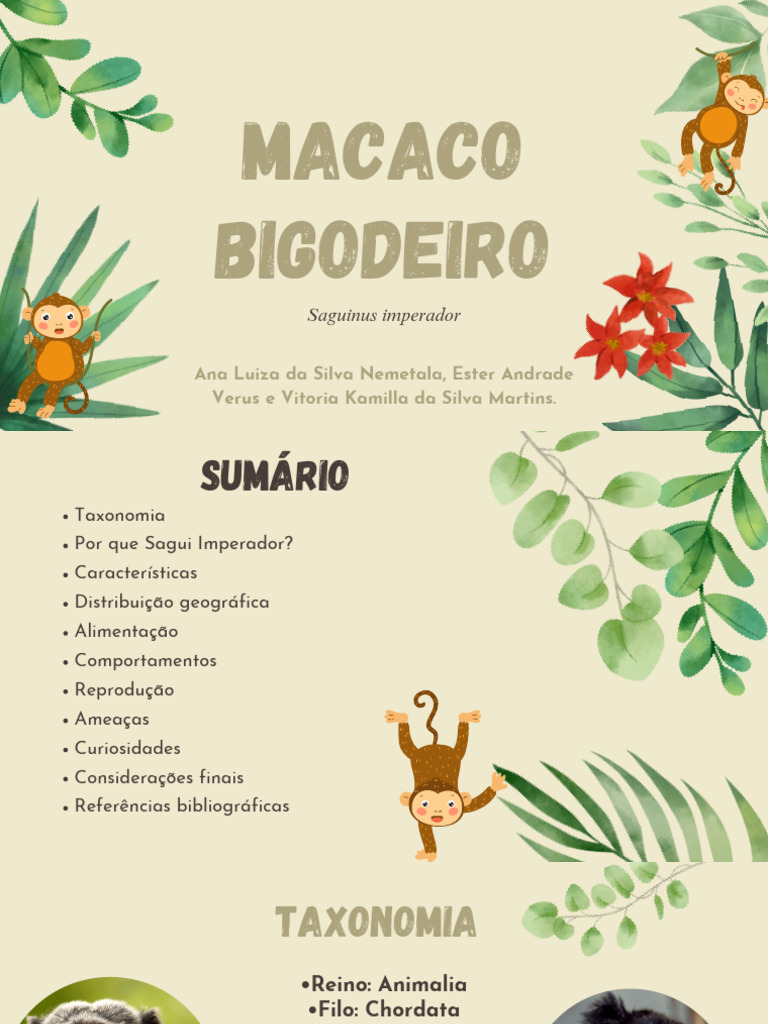 Macaco Bigodeiro | PDF