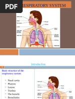 Respiratory System Mnemonics Fixed | PDF