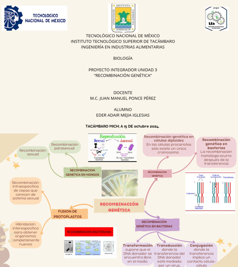 T U3 7 Mejia Eder | PDF