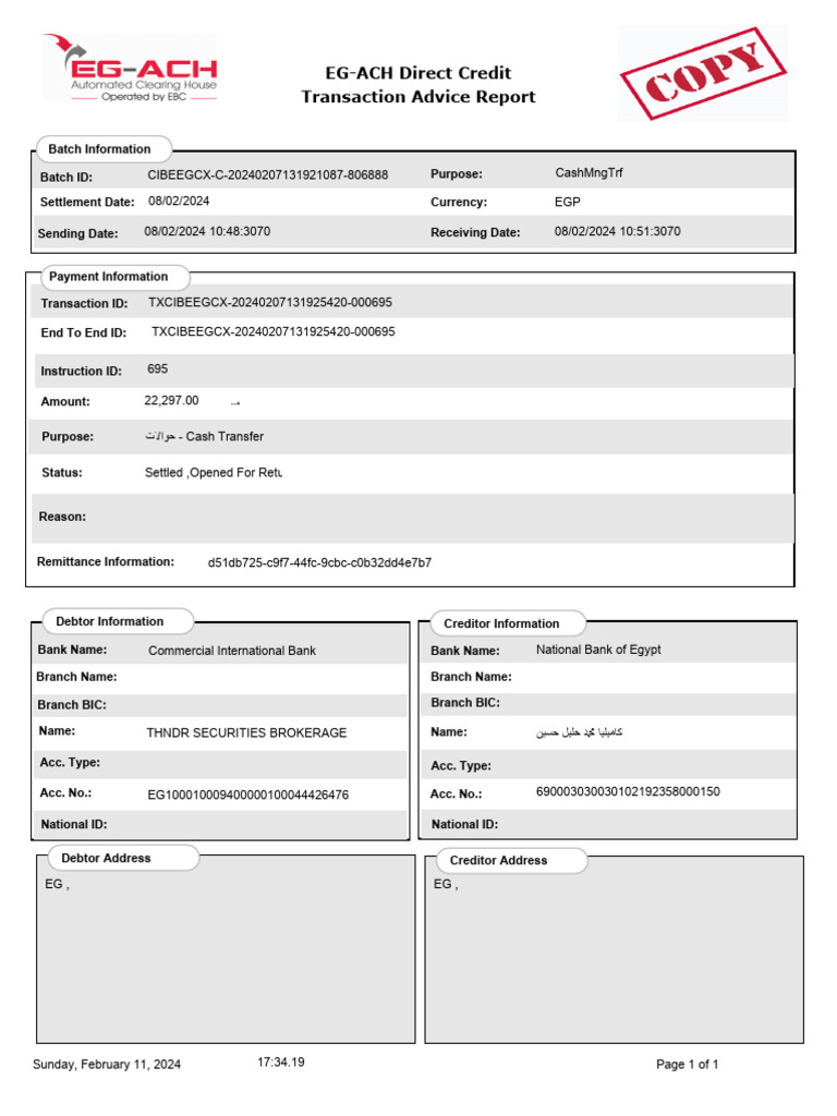 EG-ACH Direct Credit Transaction Advice Report | PDF