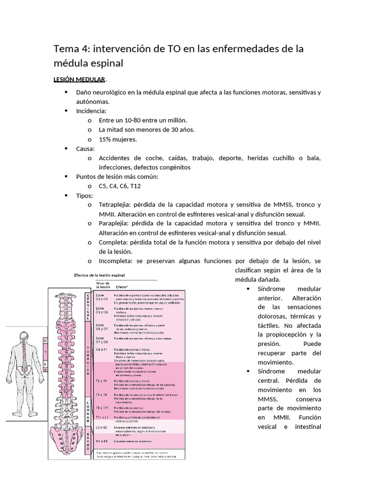 Tema 4 (4) | PDF