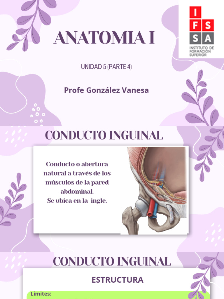 Anato I (U5) Clase 16-08 | PDF