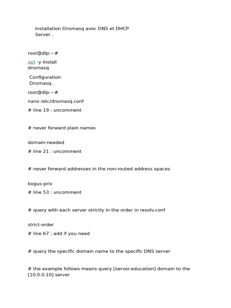 Installation Dnsmasq Avec DNS Et DHCP Server | PDF