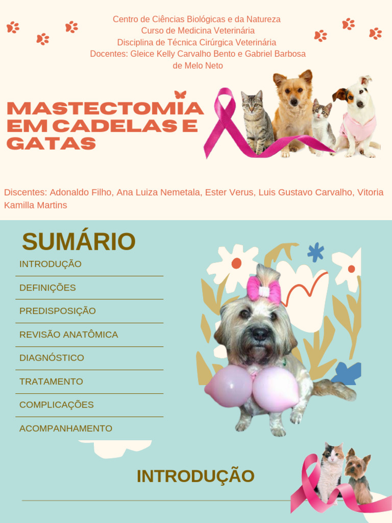 Mastectomia em Cadelas | PDF