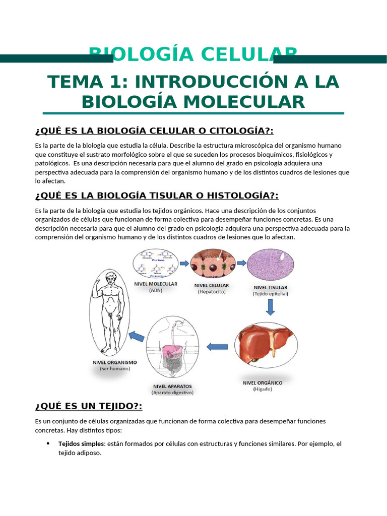 Biología Celular | PDF