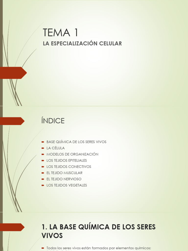 Biomol, Célula y Tejidos | PDF