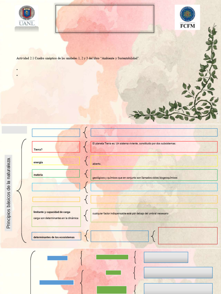 RSDS Act2.1 Hca | PDF