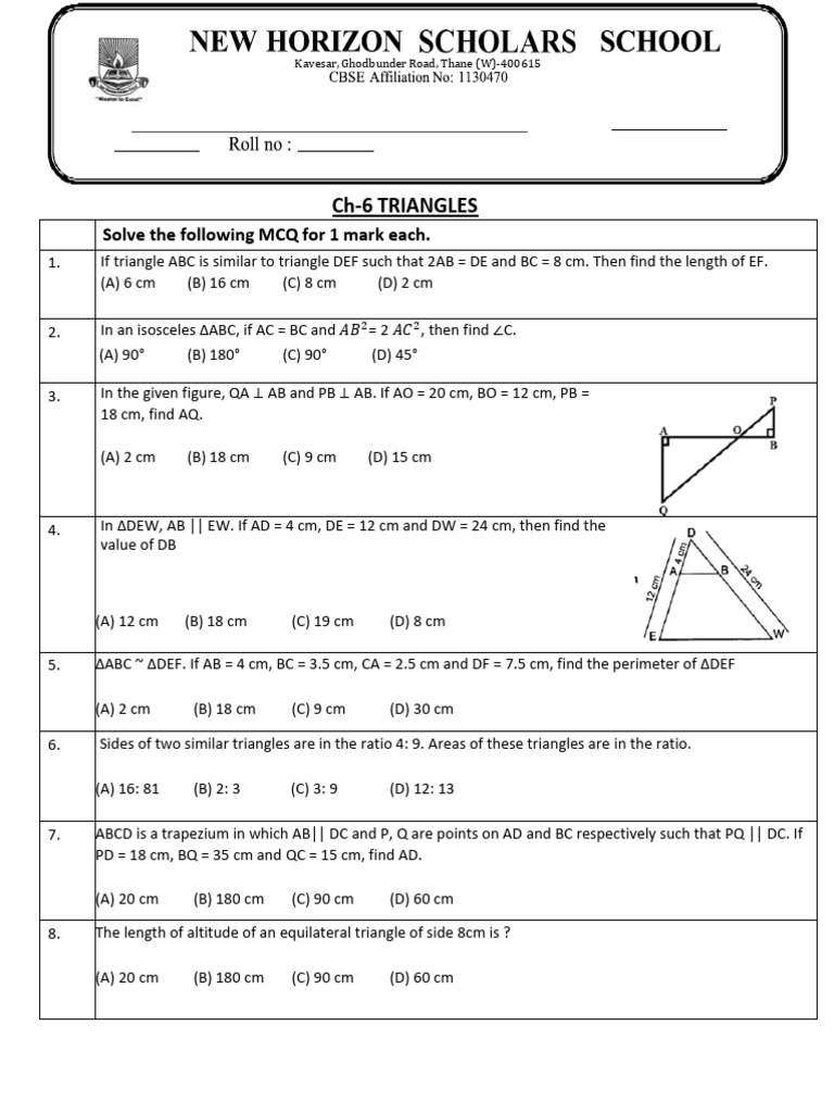 Class X Triangles Worksheet | PDF
