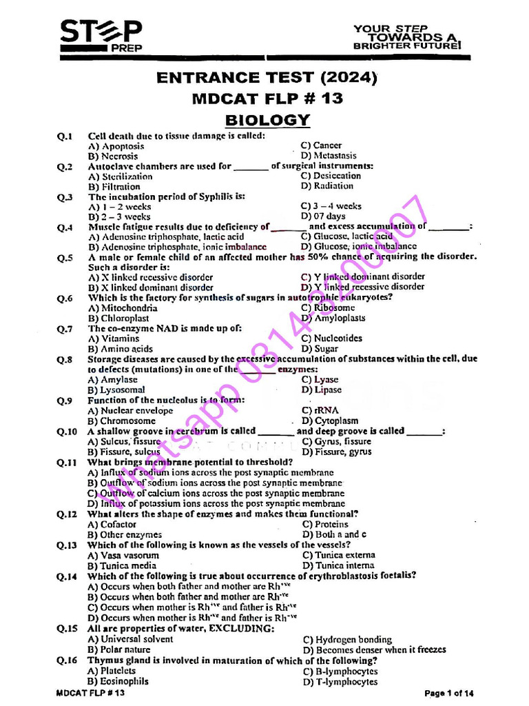 FLP 13 Step 2024 + Key | PDF