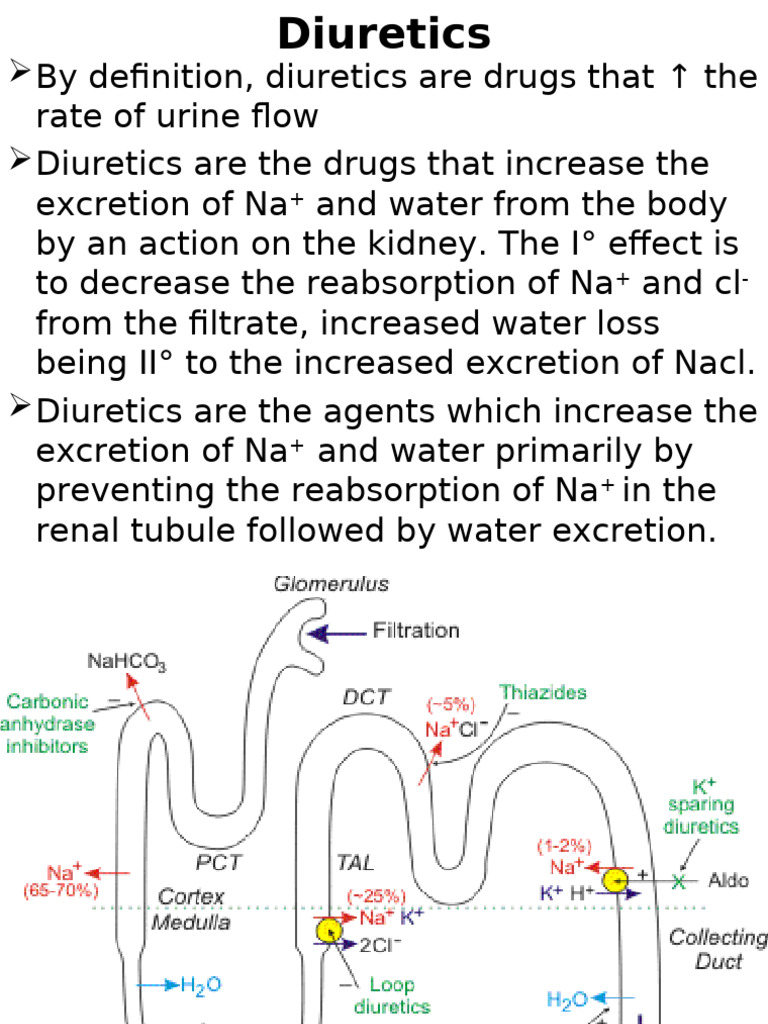 Diuretics Lecture | PDF