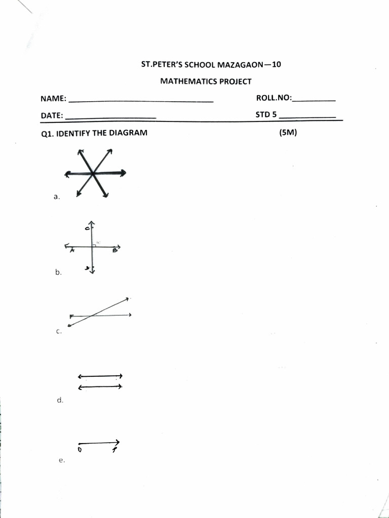 Maths Project Class 5 6 | PDF | Science & Mathematics