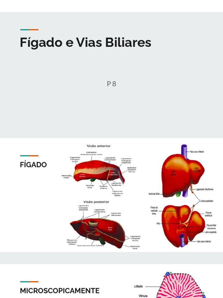 Fígado e Vias Biliares | PDF