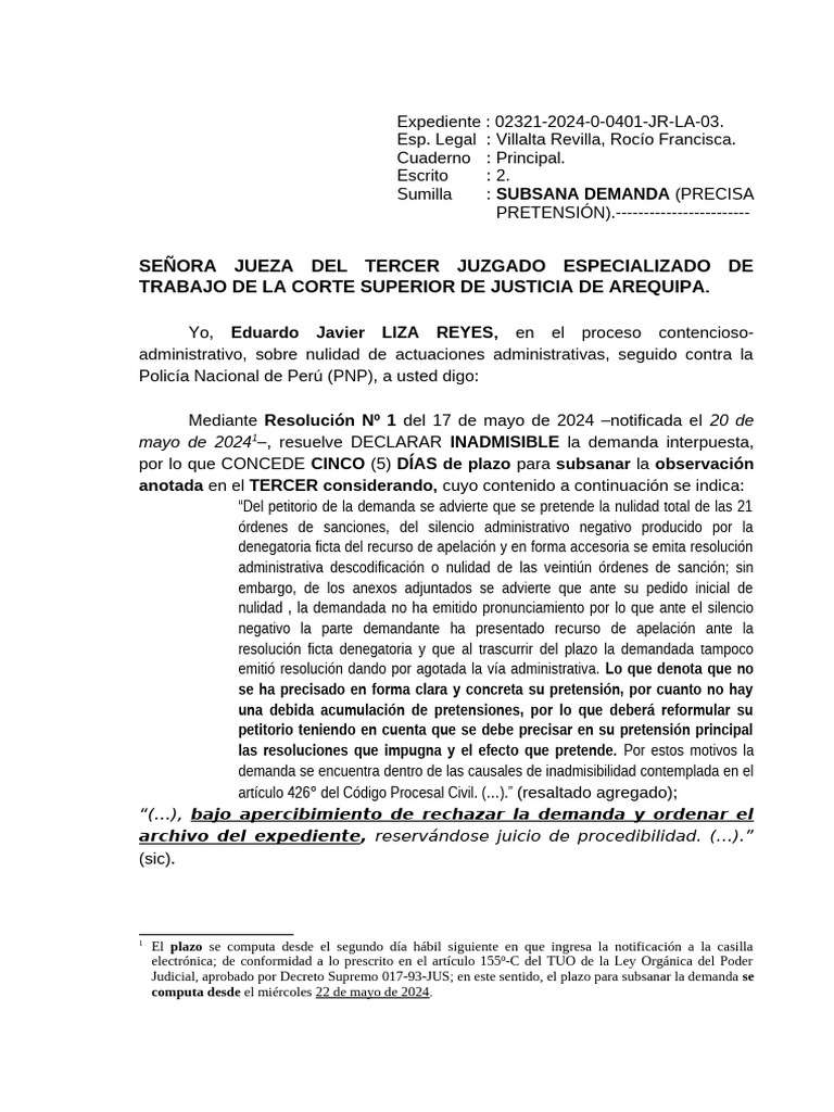 Subs. Dda. CA Precisa Pretensión (Liza) | PDF