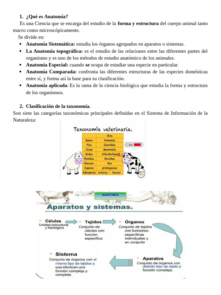 Qué Es Anatomía | PDF