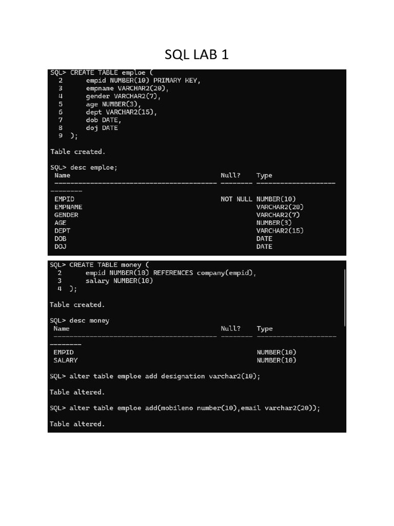 SQL LAB Practicals 1-6 | PDF