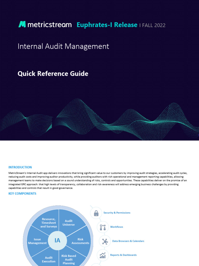 Internal Audit Management Quick Reference Guide | PDF