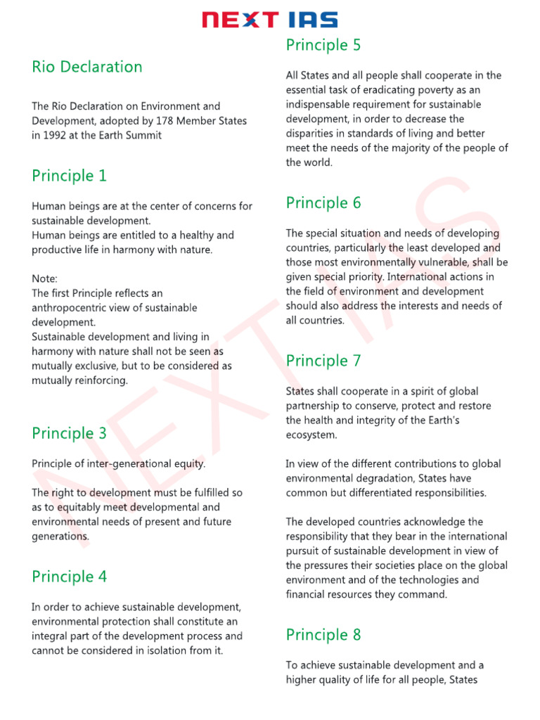 Rio Principles - SDG - Notes | PDF