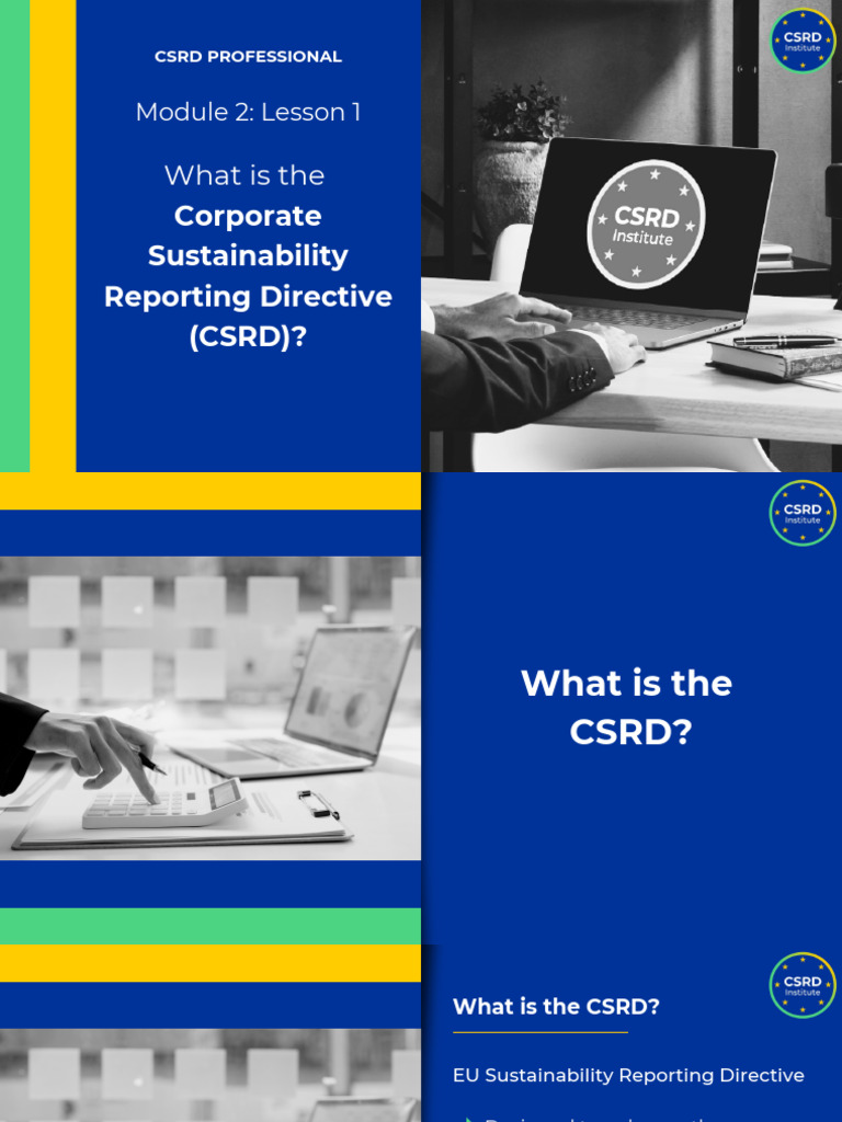 1-CSRD Professional - Module 2 Slides | PDF