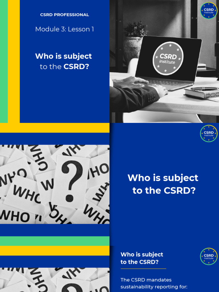 1-CSRD Professional - Module 3 Slides | PDF