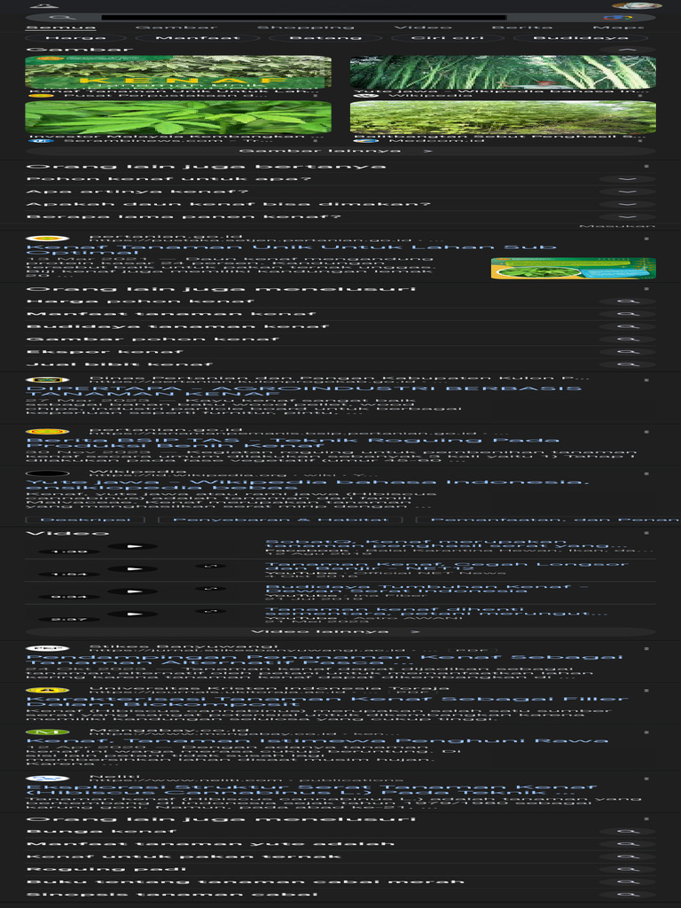 Pohon Kenaf - Penelusuran Google | PDF