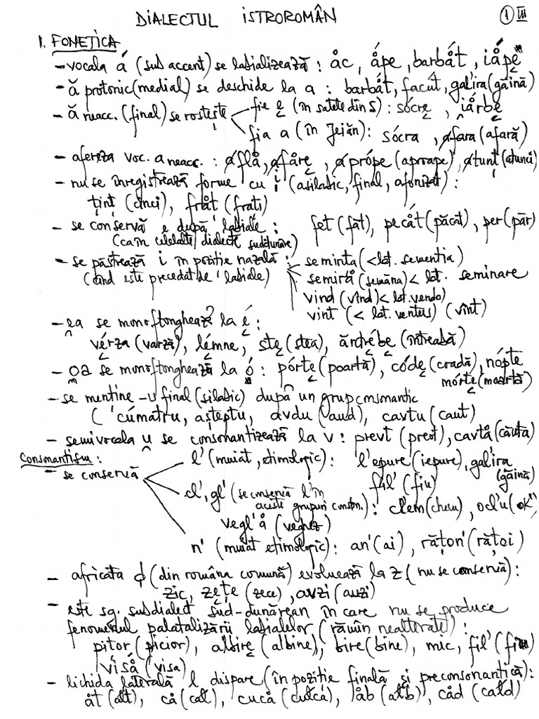 Dialectul Istroroman | PDF