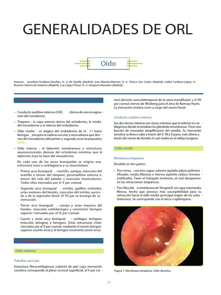 2.1 Oido - Generalidades de Orl | PDF
