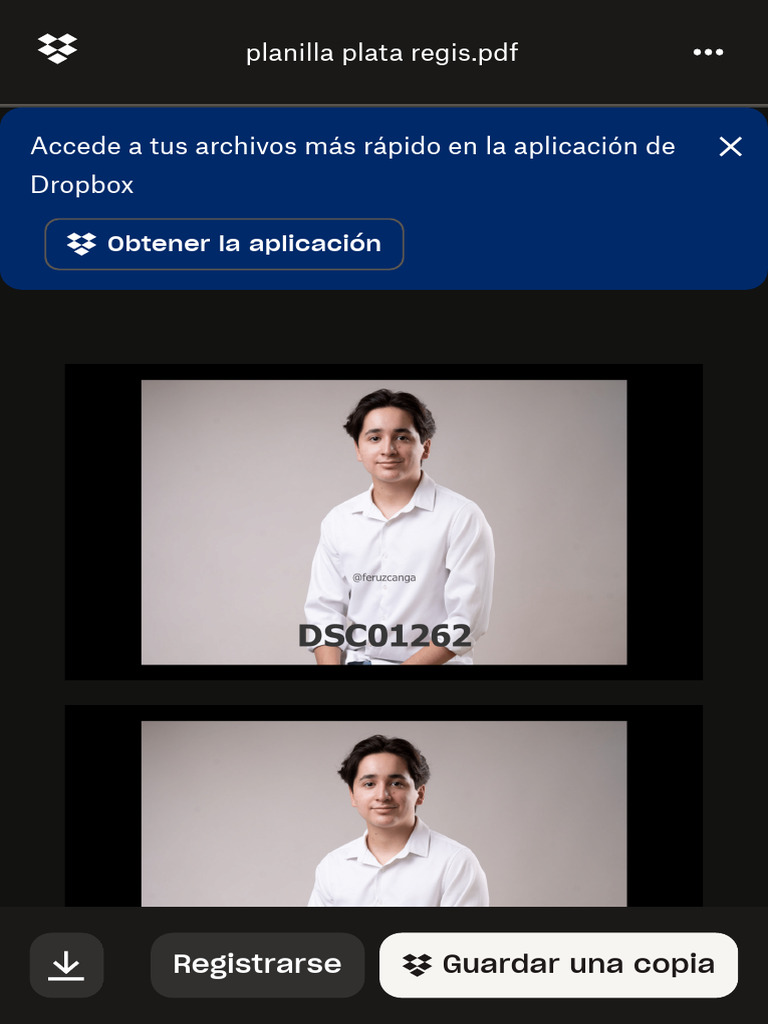 planilla plata regis.pdf | PDF