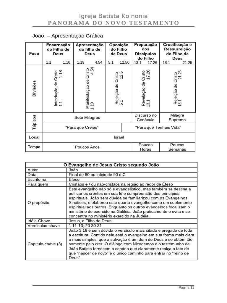 Aula 3 - João | PDF