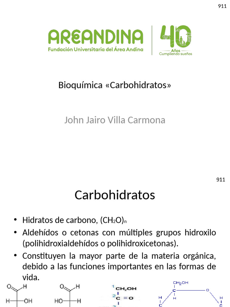 Bioquímica Carbohidratos | PDF