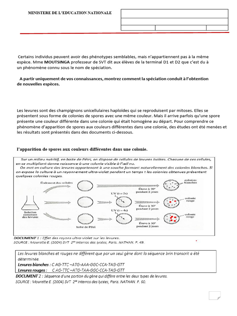 DEVOIR COMMUN TLE D +grille | PDF
