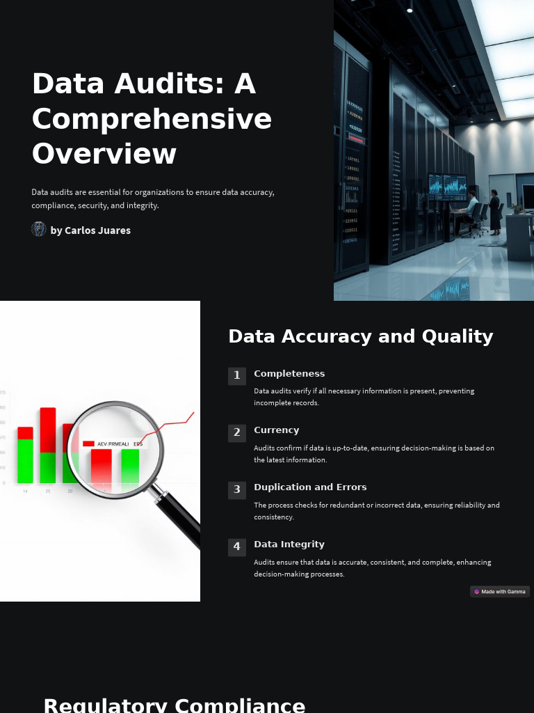 Data-Audits-A-Comprehensive-Overview | PDF