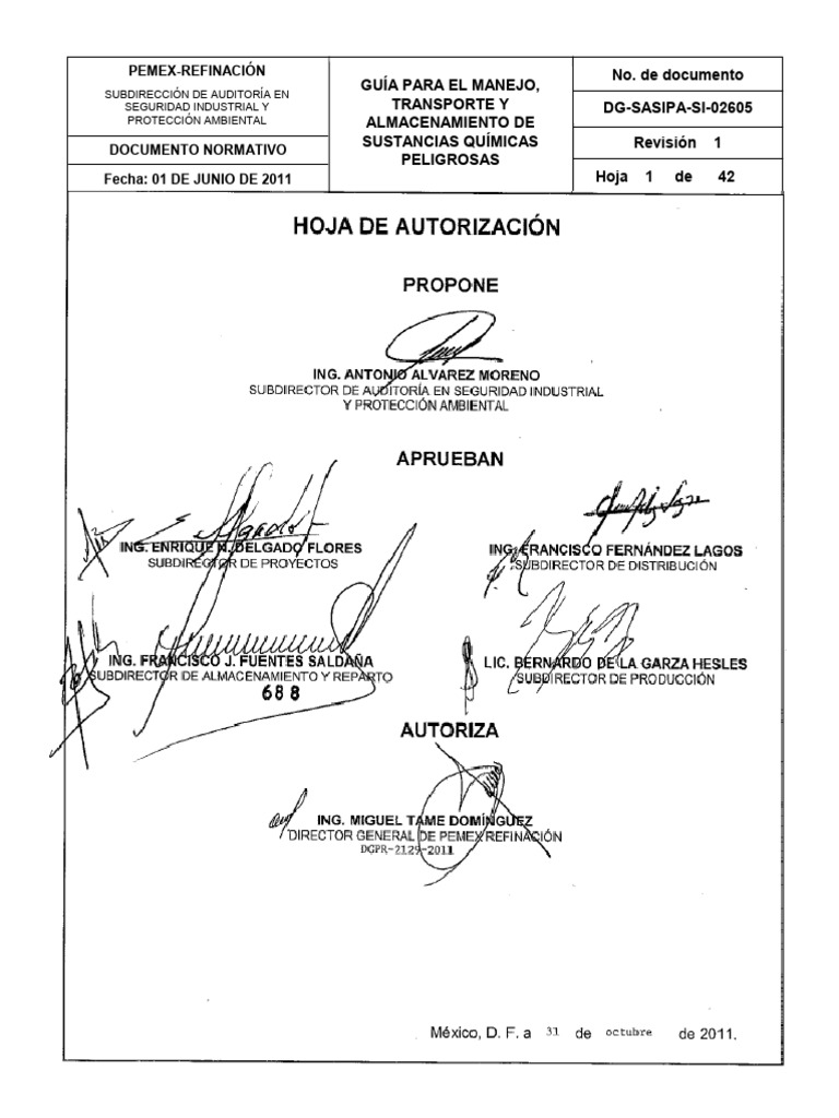 Dg-Sasipa-Si-02605 Guia Manejo, Trsp. Alm. Sust Quim Pelig | PDF