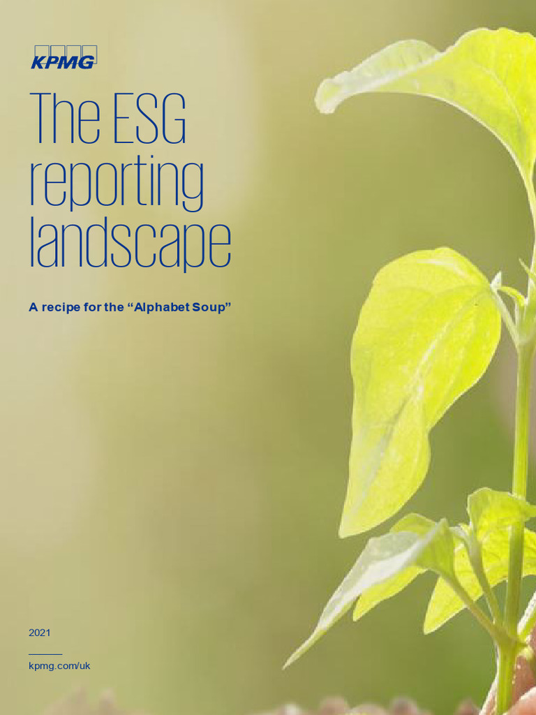 ESG Reporting and Assurance | PDF