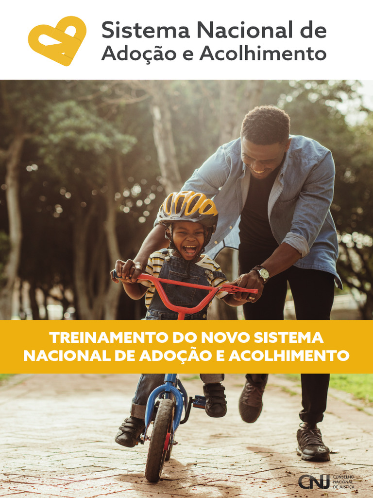 Treinamento Do Novo Sna | PDF