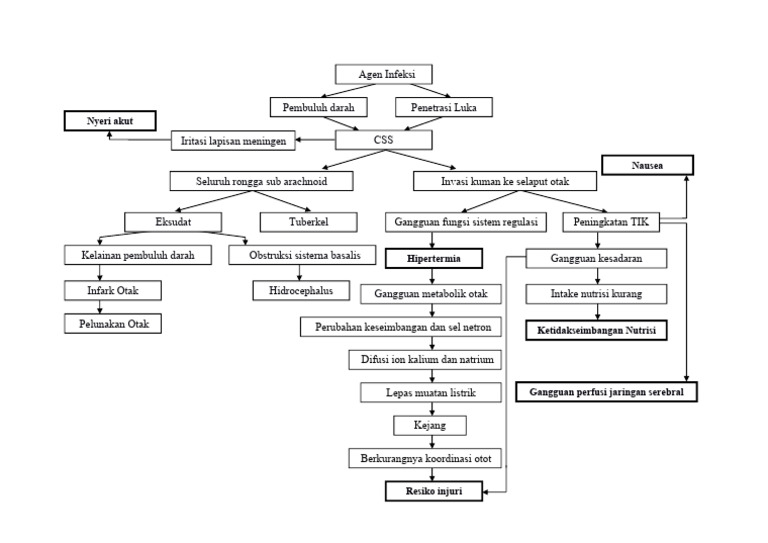 Woc Meningitis | PDF
