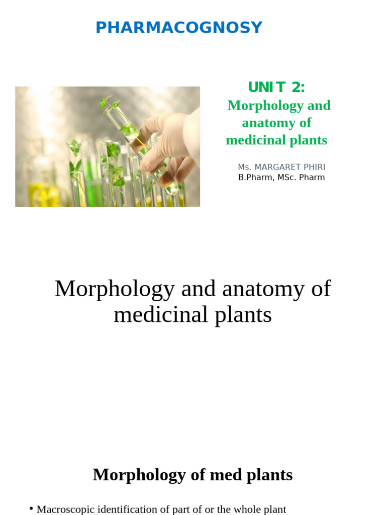 Medicinal Plant Morphology Overview | PDF | Leaf | Flowers