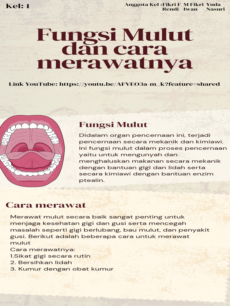 Apa Fungsi Mulut Didalam Organ Pencernaan Ini, Terjadi Pencernaan ...