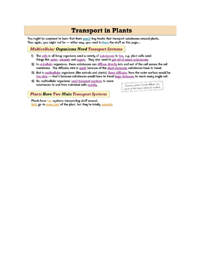 Transportation in Plants | PDF