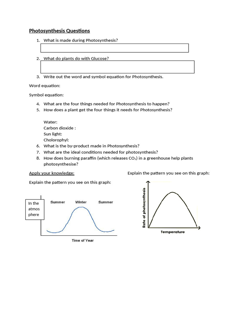 Photosynthesis-Questions Grade 11 | PDF