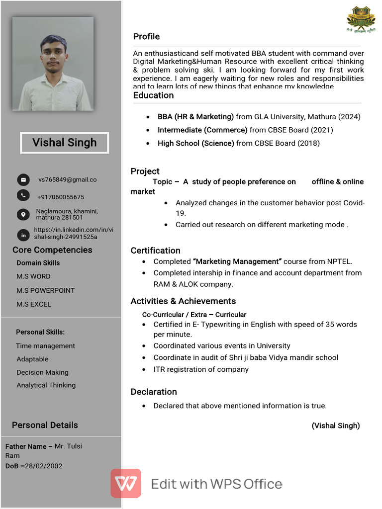 Share Vishal Resume | PDF