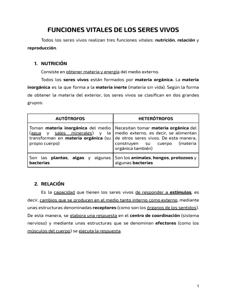 Funciones Vitales de Los Seres Vivos | PDF