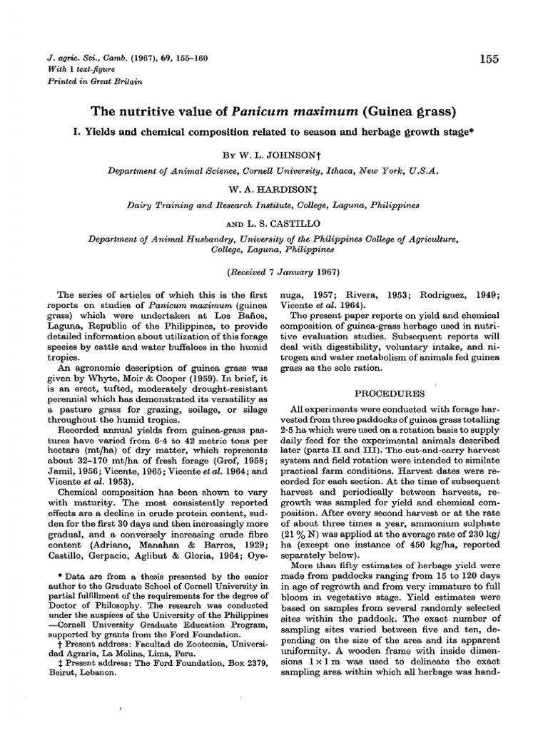 The Nutritive Value of Panicum Maximum (Guinea Grass) | PDF