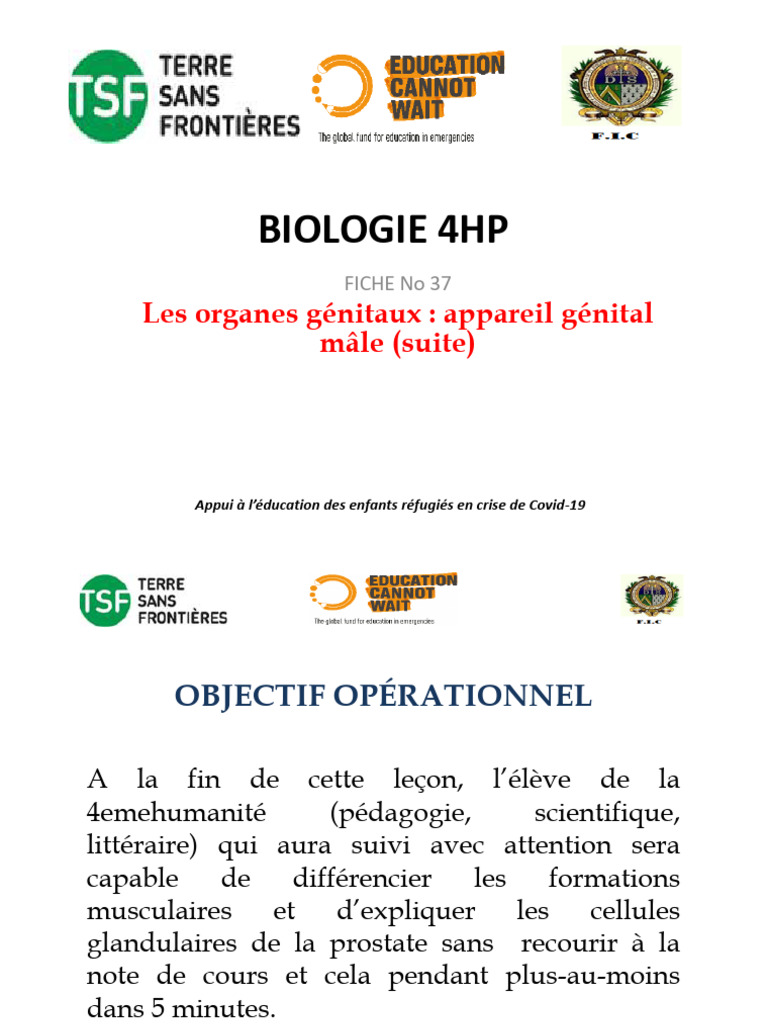 Biologie 4Hp: Les Organes Génitaux: Appareil Génital Mâle (Suite) | PDF