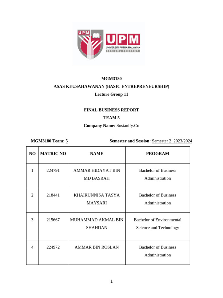 Final Report Mgm3180 | PDF